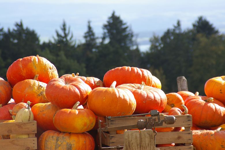L'Aubier | Ferme Demeter et bio à Montezillon